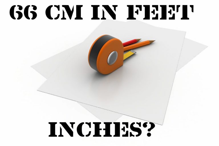 What Is 66 Cm In Feet And Inches 